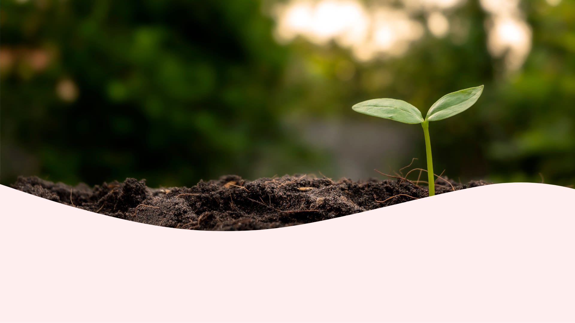 Our journey to Net Zero by 2040 | RX